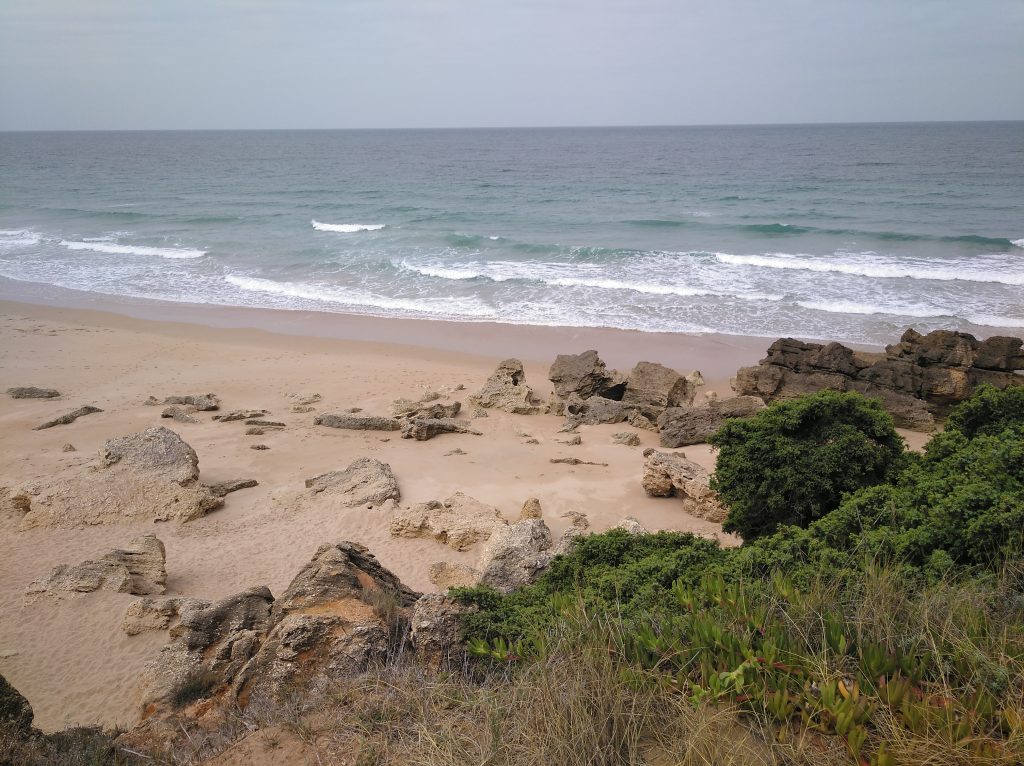 Playas Calas de Roche (Conil de la Frontera) | Adondevoyconmifamilia