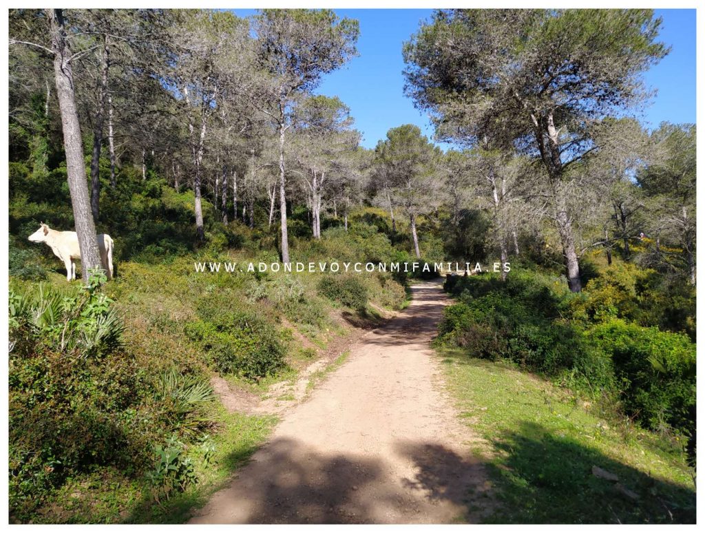 Sendero Las Quebradas | Adondevoyconmifamilia